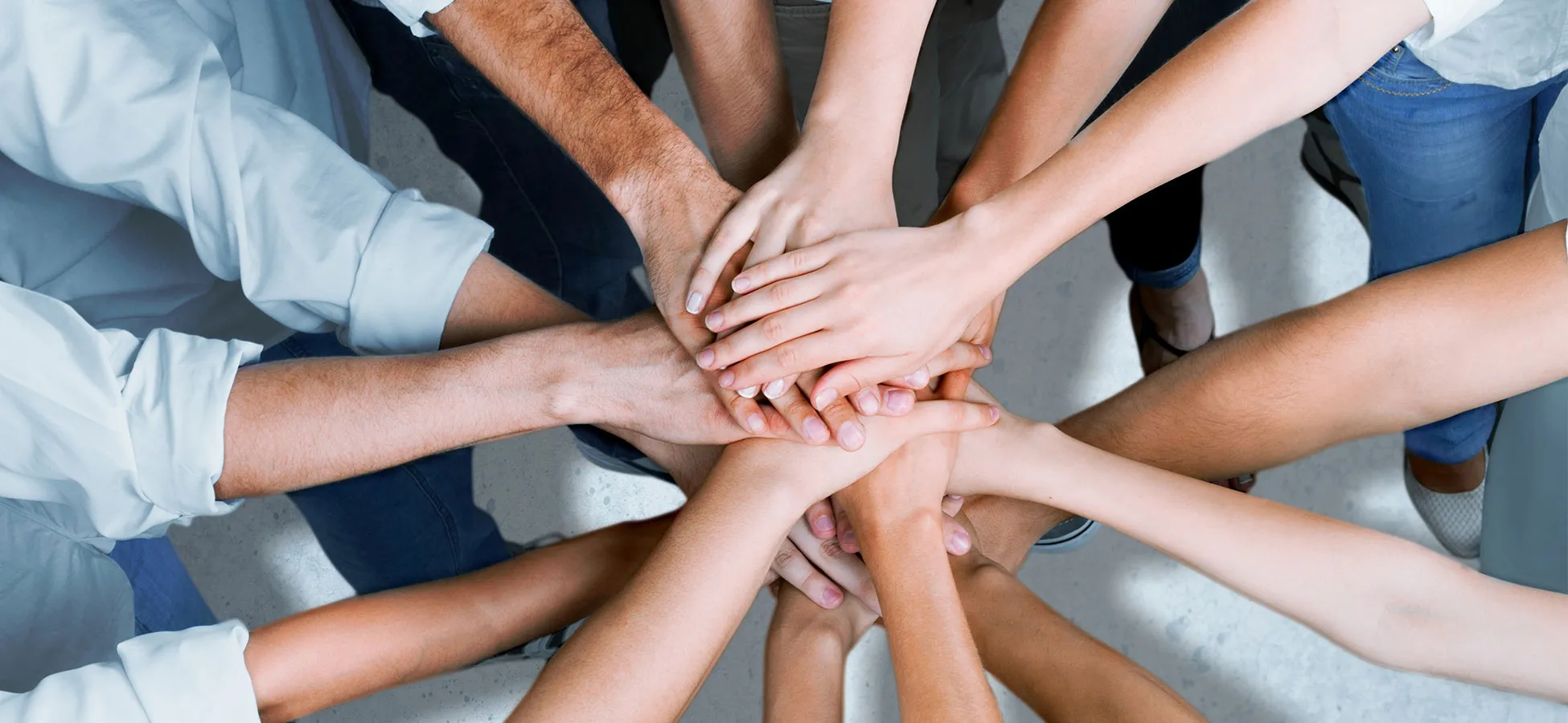 Management | LINHARDT